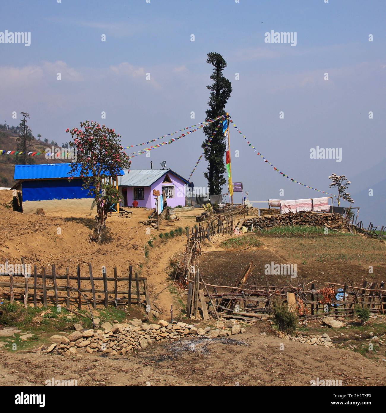 Nepal rhododendron trail hi-res stock photography and images - Alamy