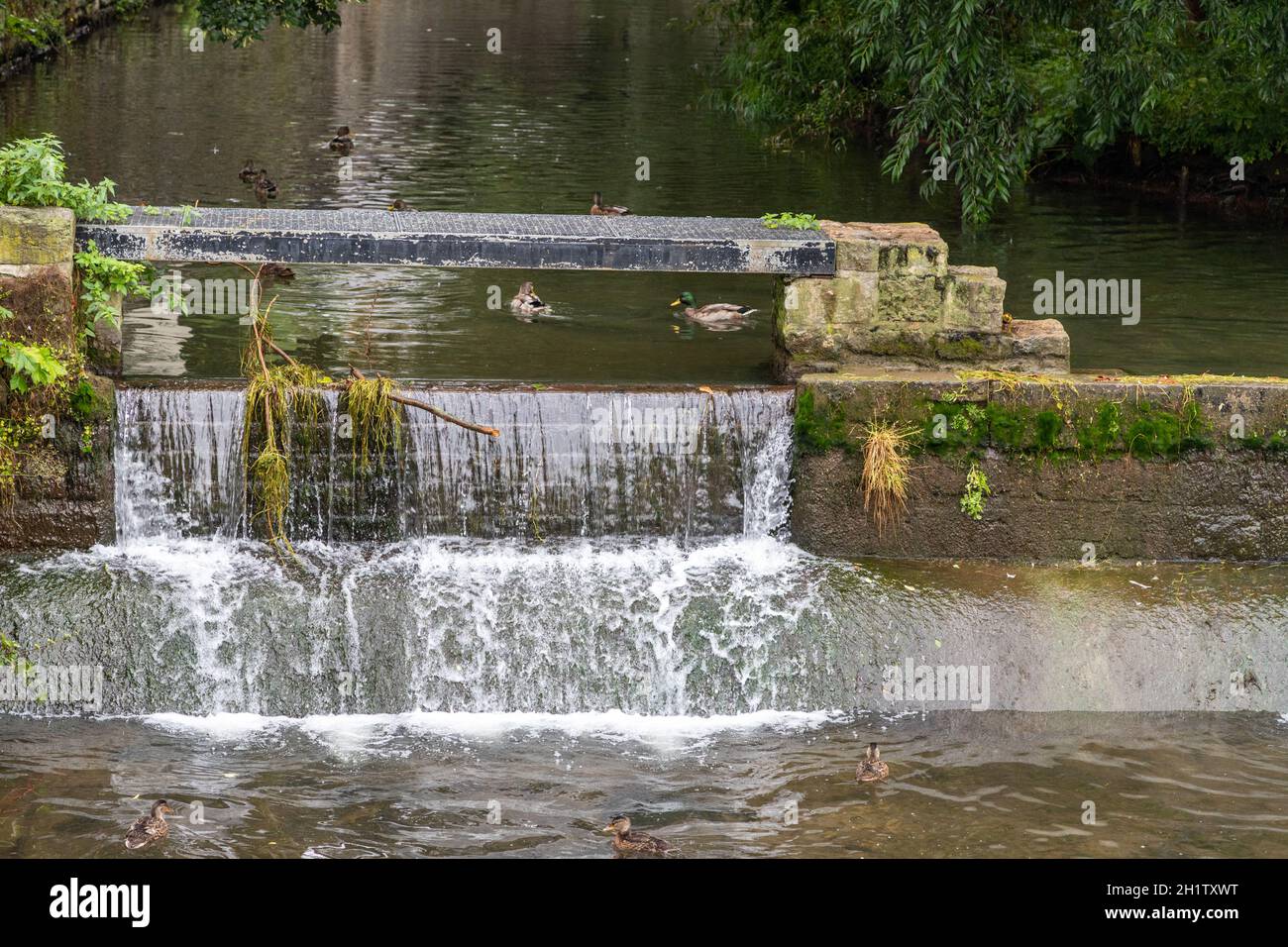 Weir with waterfall on the river Gera in Erfurt, Thuringia Stock Photo ...