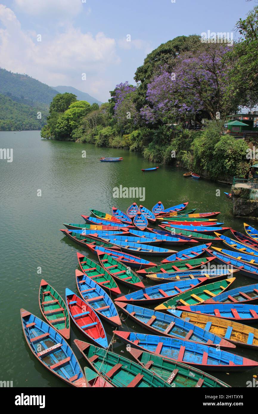 Spring scene at Fewa lake, Pokhara Stock Photo - Alamy