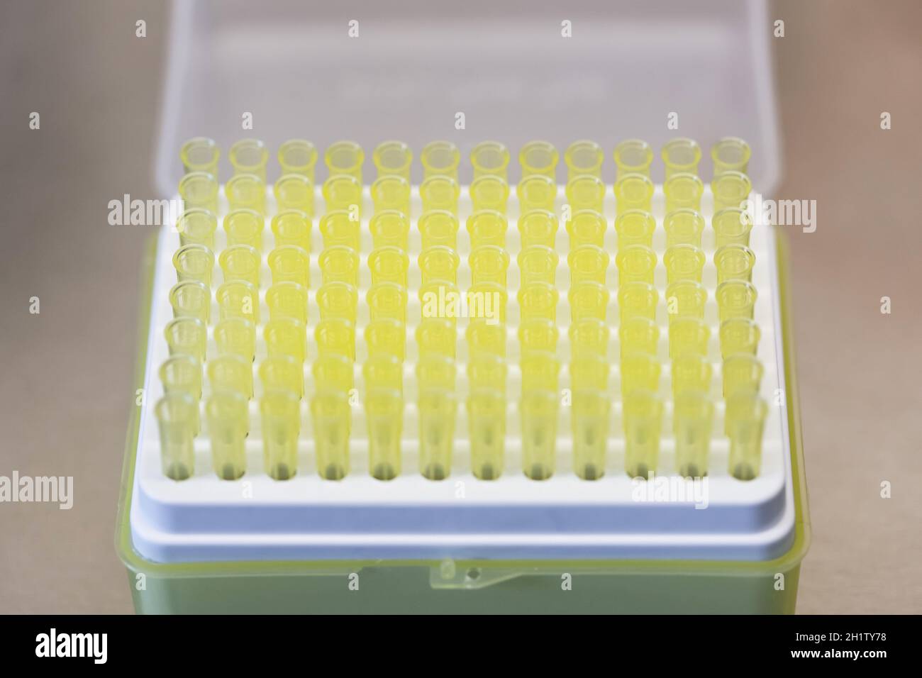 A set of glass tubes for samples. Laboratory chemical equipment Stock ...