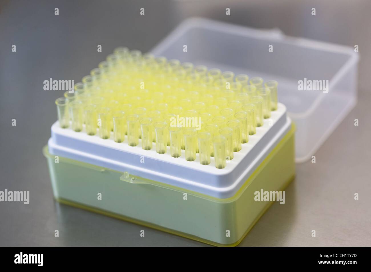 A set of glass tubes for samples. Laboratory chemical equipment Stock ...