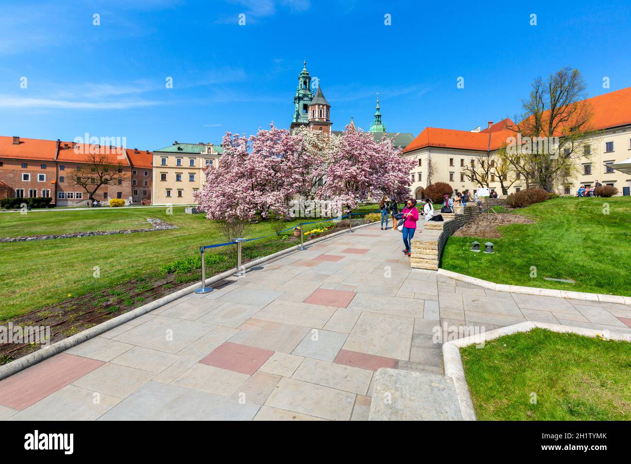 Krakow, Poland - April 28, 2021 : Blooming magnolia trees on the Wawel ...