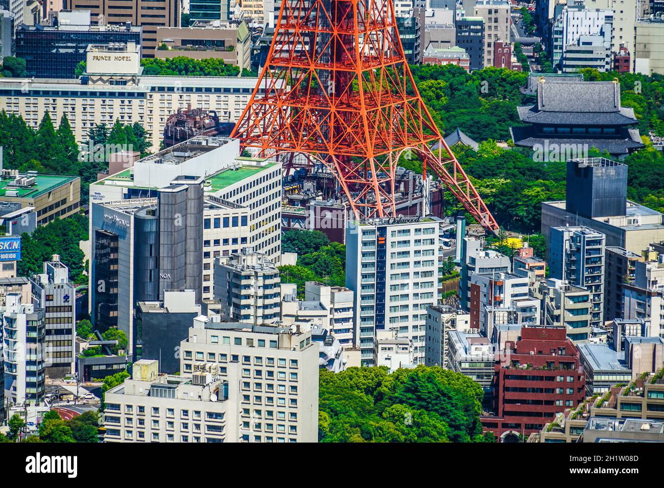Tokyo Tower and urban landscape. Shooting Location: Tokyo metropolitan ...