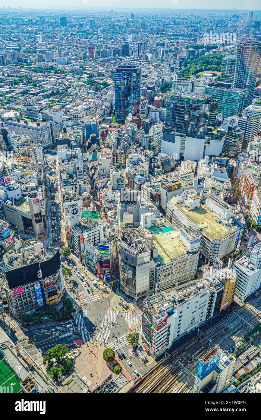 Shibuya scramble intersection (taken from Shibuya Sky). Shooting Location: Tokyo metropolitan ...