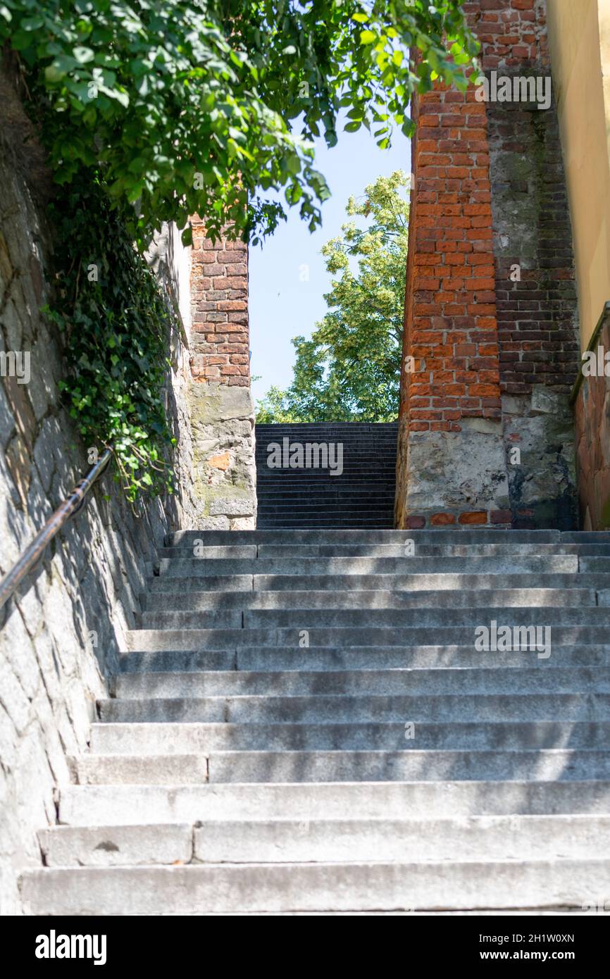 Narrow eye shape hi-res stock photography and images - Alamy