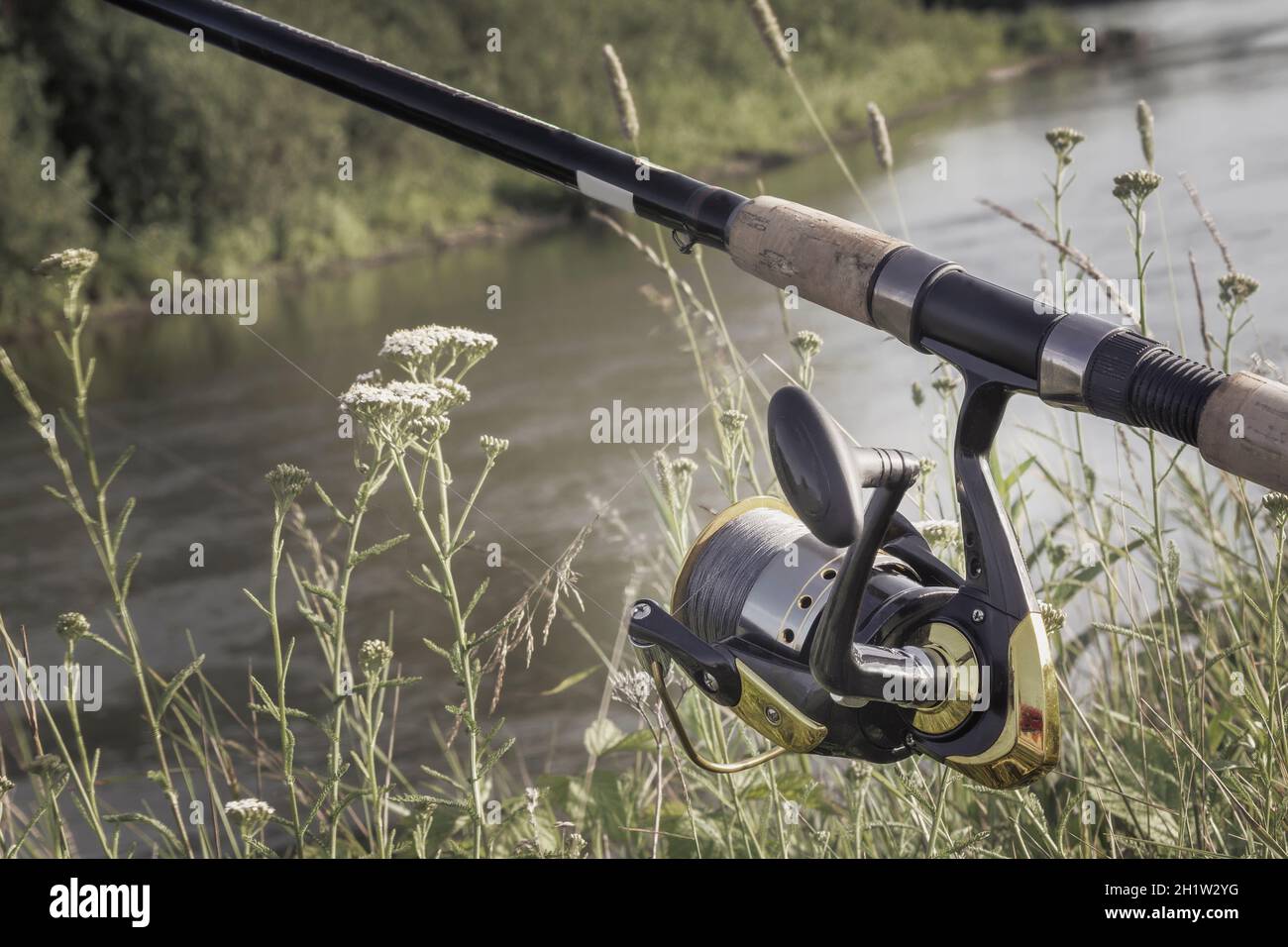 On the banks of the beautiful river above the water feeder installed ...