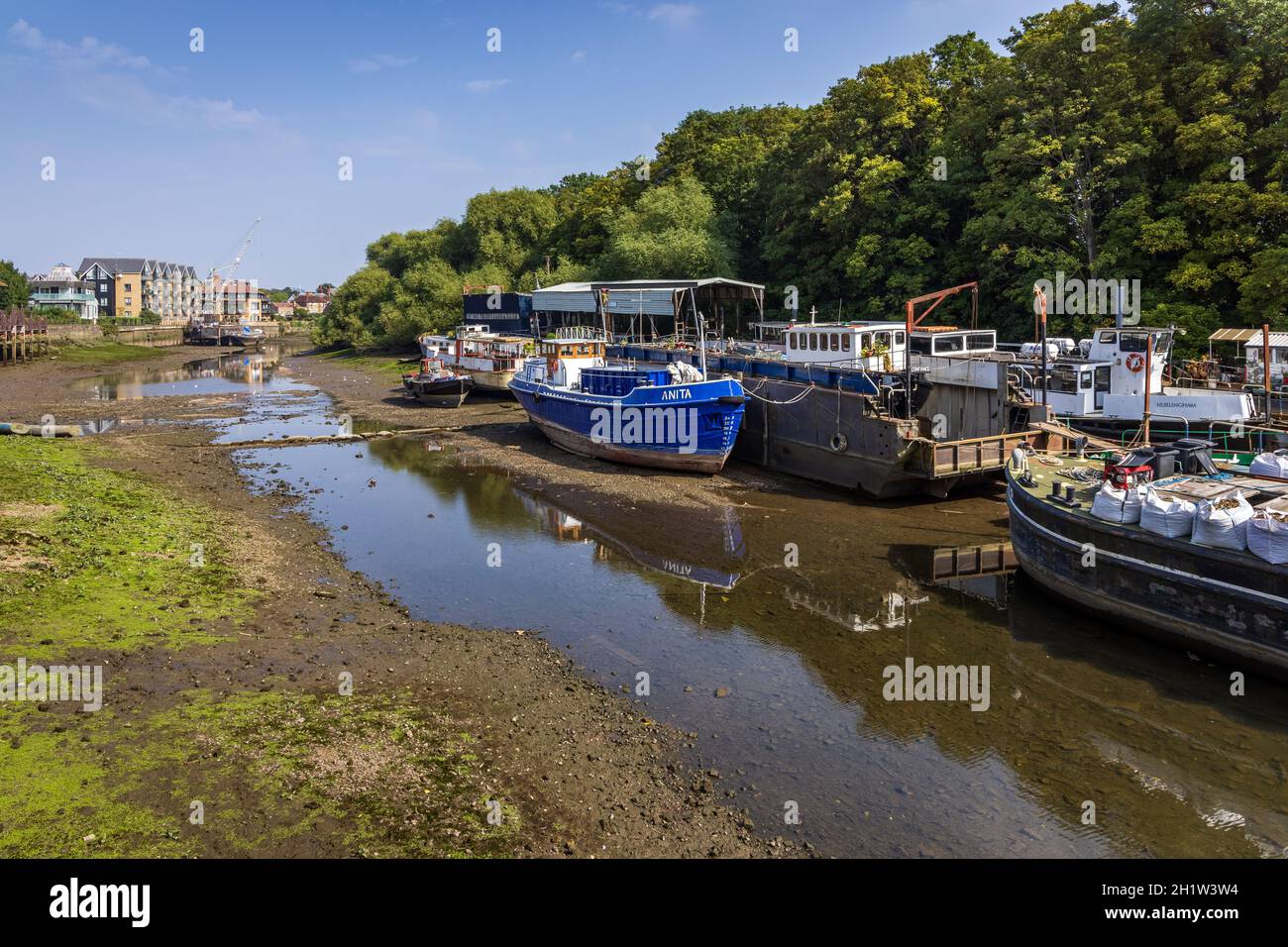 The River Thames at Isleworth at low tide,with Isleworth Ait and Wood's ...