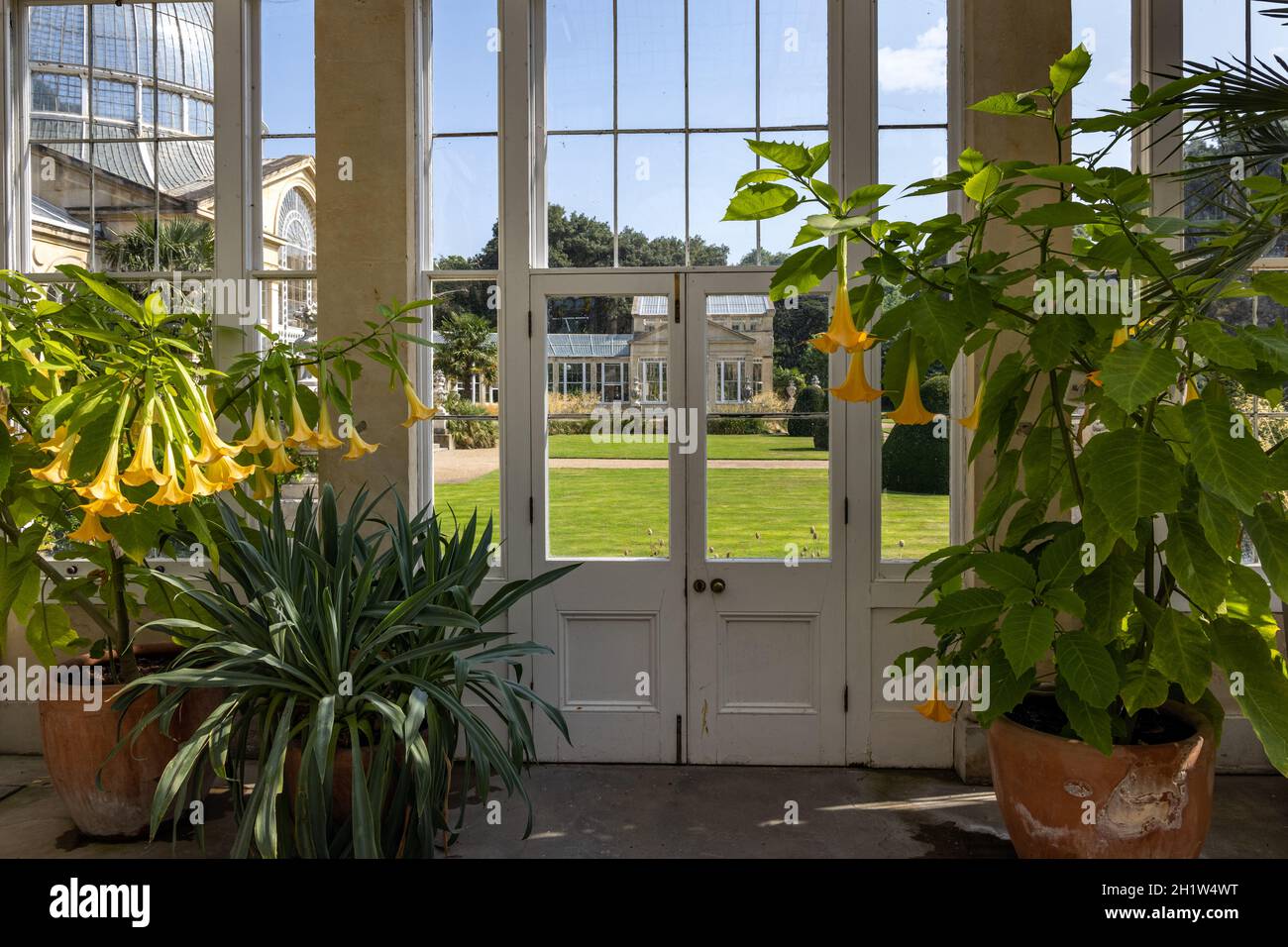 Interior of the Great Conservatory, built by Charles Fowler in 1826, in ...