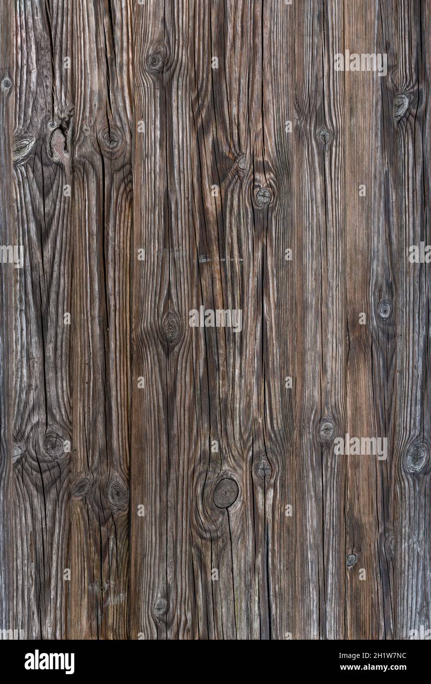 Brown aged tree with veins Stock Photo - Alamy