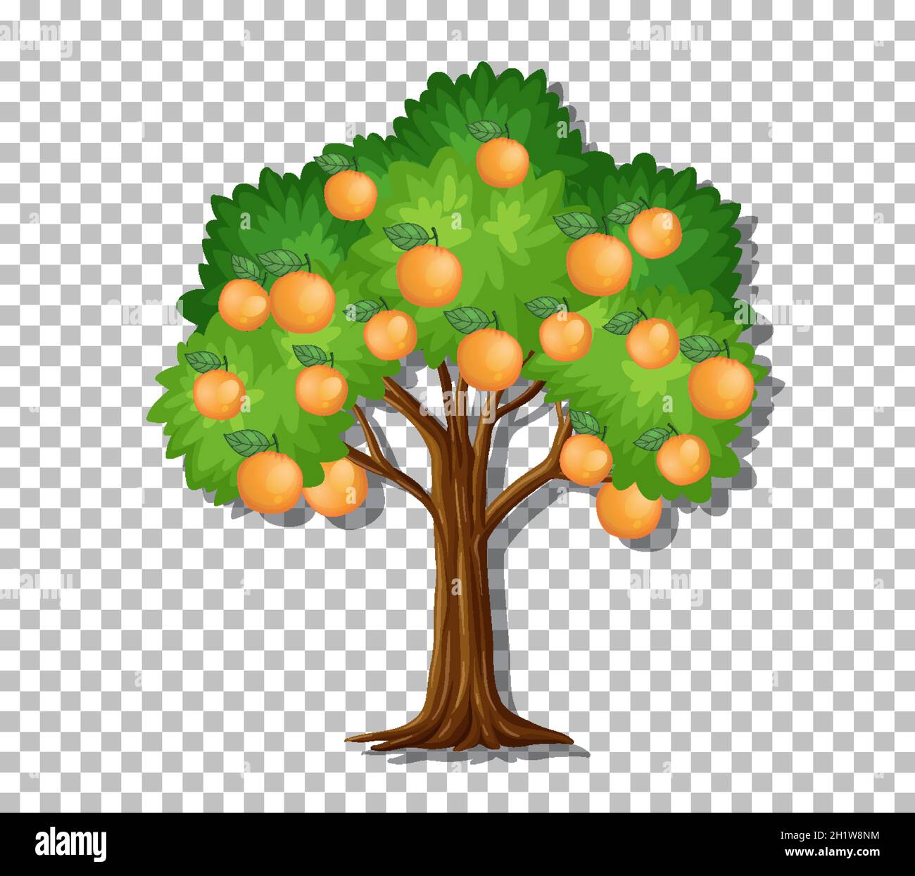 Orange tree on transparent background illustration Stock Vector Image ...