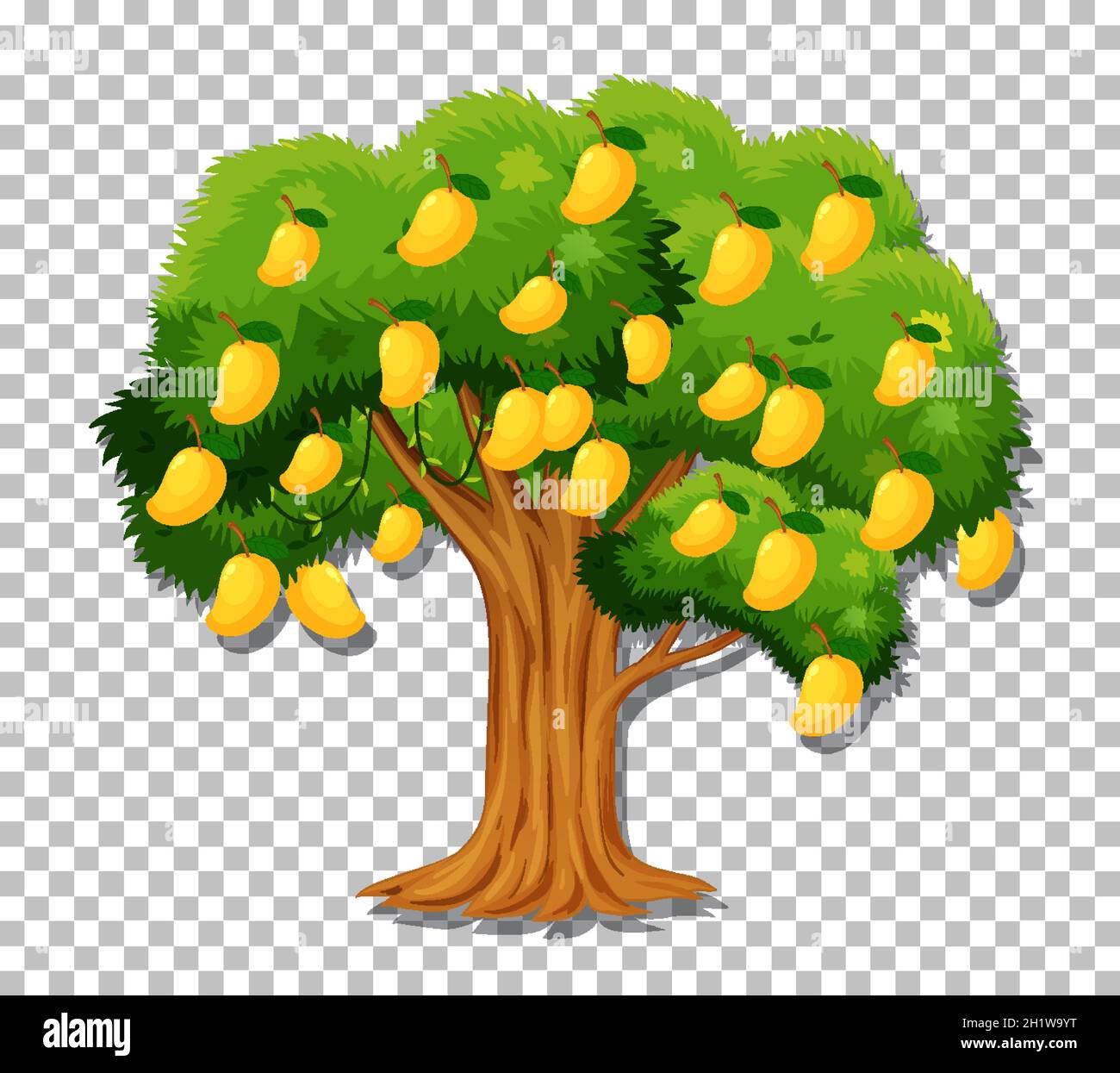 Mango tree on transparent background illustration Stock Vector Image ...