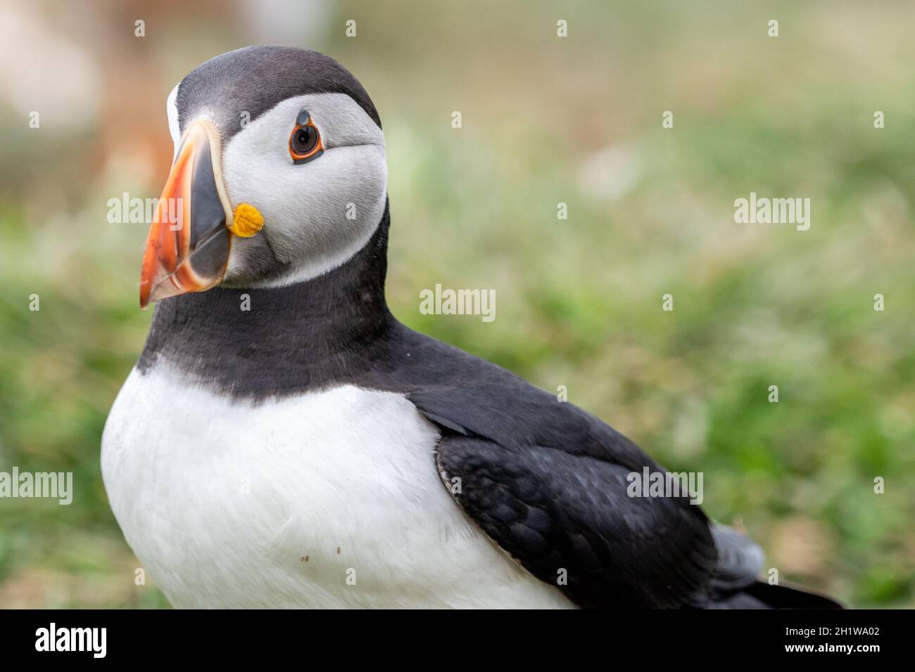 Isle of lunga hi-res stock photography and images - Alamy