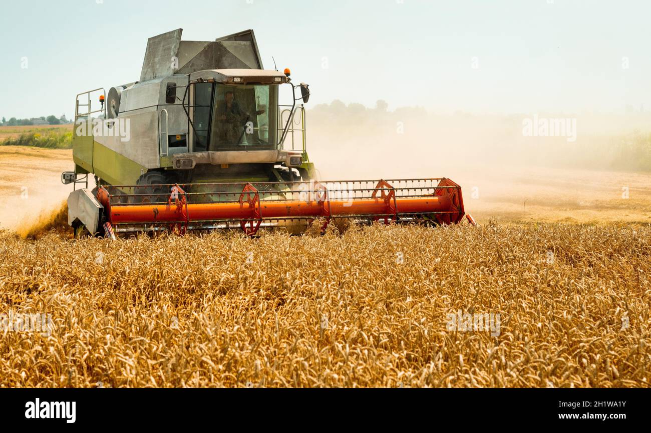 Man in combine harvesters with grain header, wide chaff spreader ...