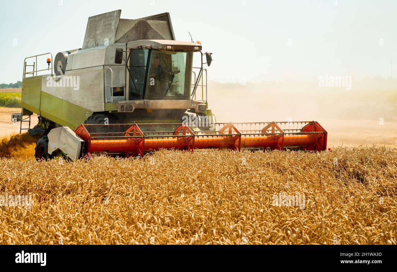 Man in combine harvesters with grain header, wide chaff spreader ...