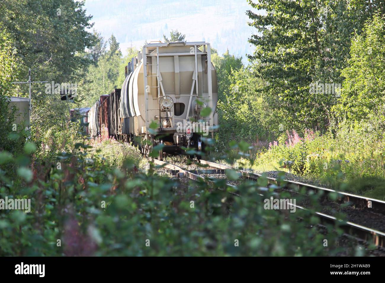 Back receding hi-res stock photography and images - Alamy