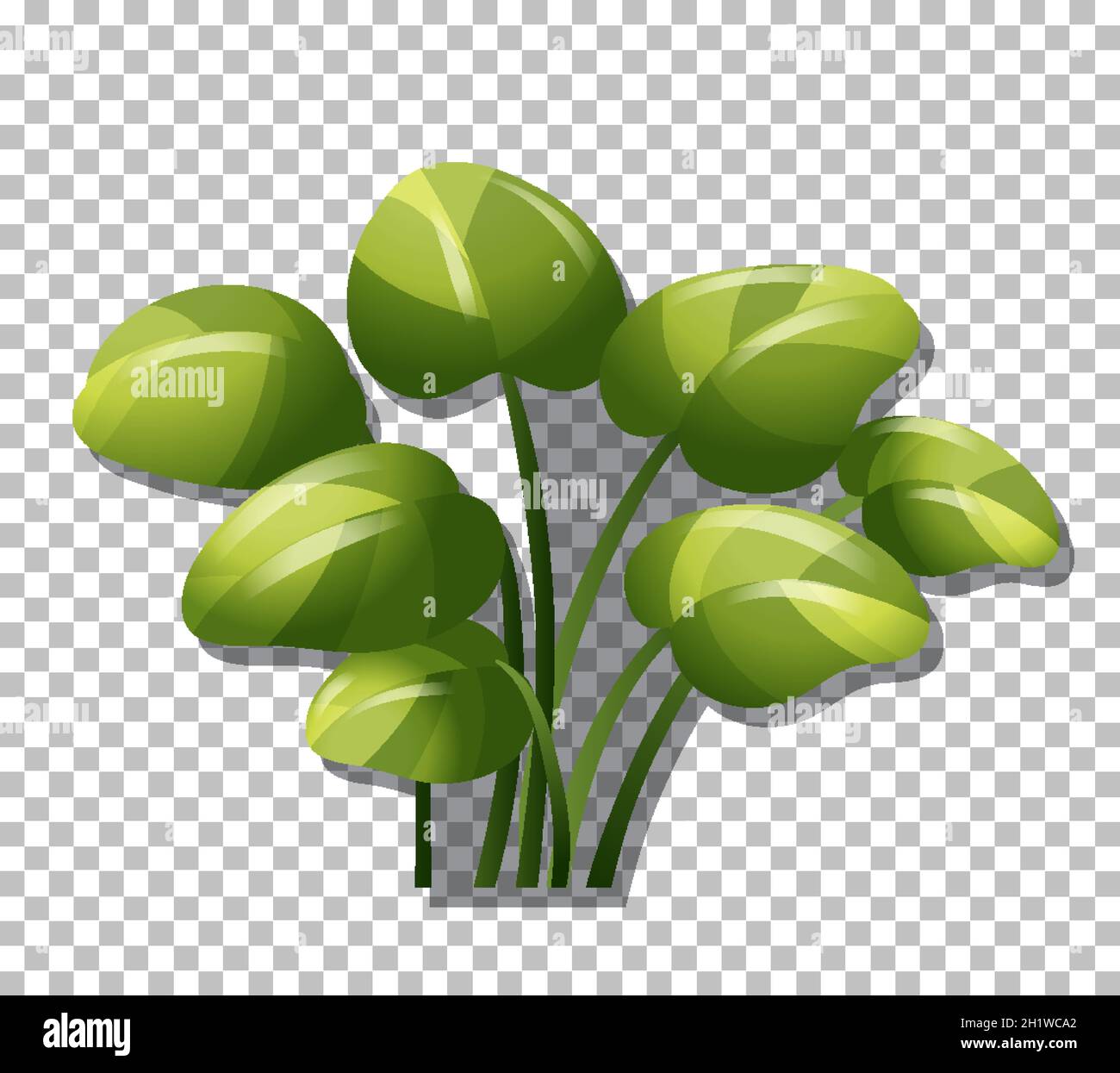 Tropical plant on transparent background illustration Stock Vector ...
