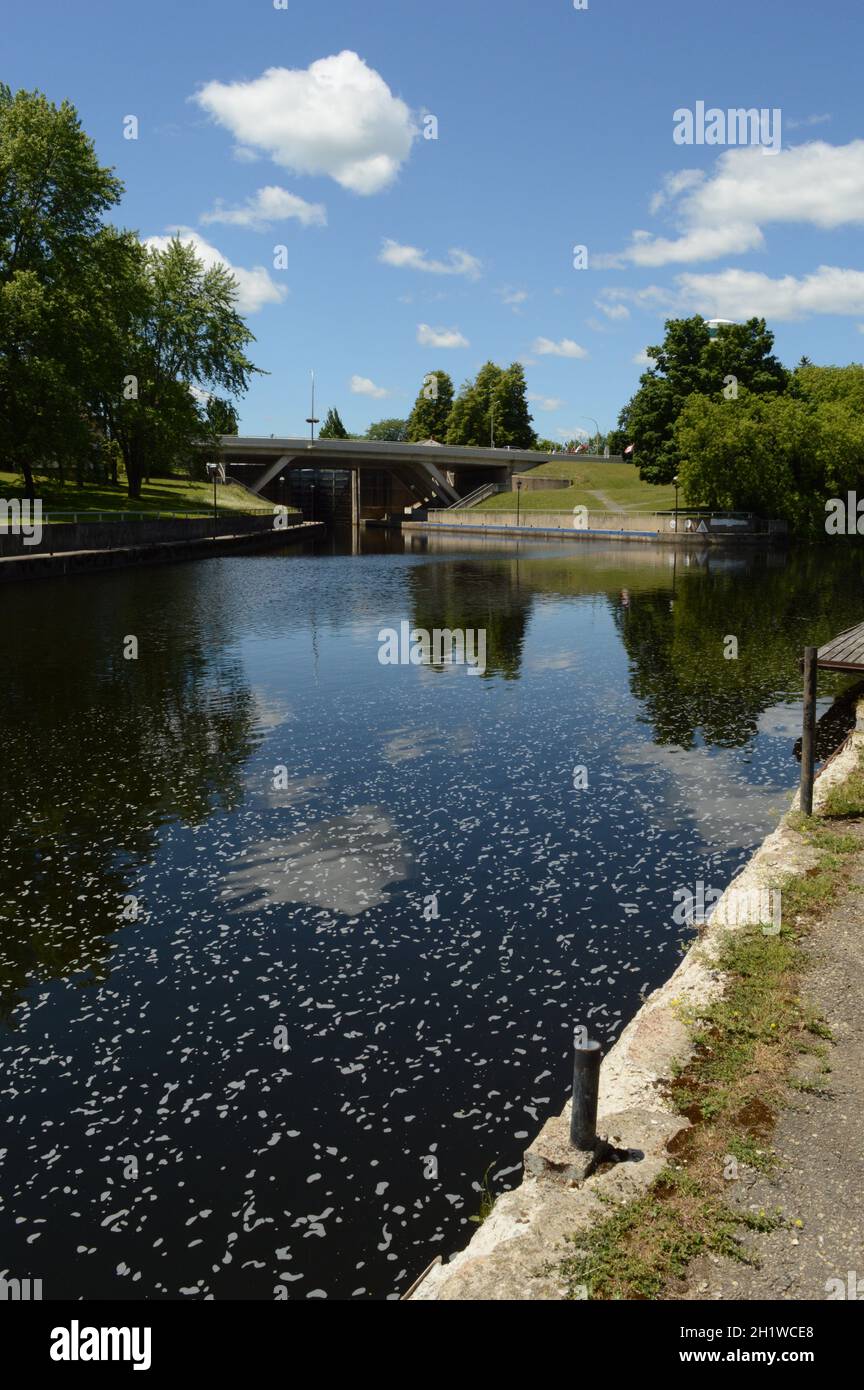 SMITHS FALLS, ONTARIO, CA, JUNE 16, 2021: A view of the Beckwith St ...