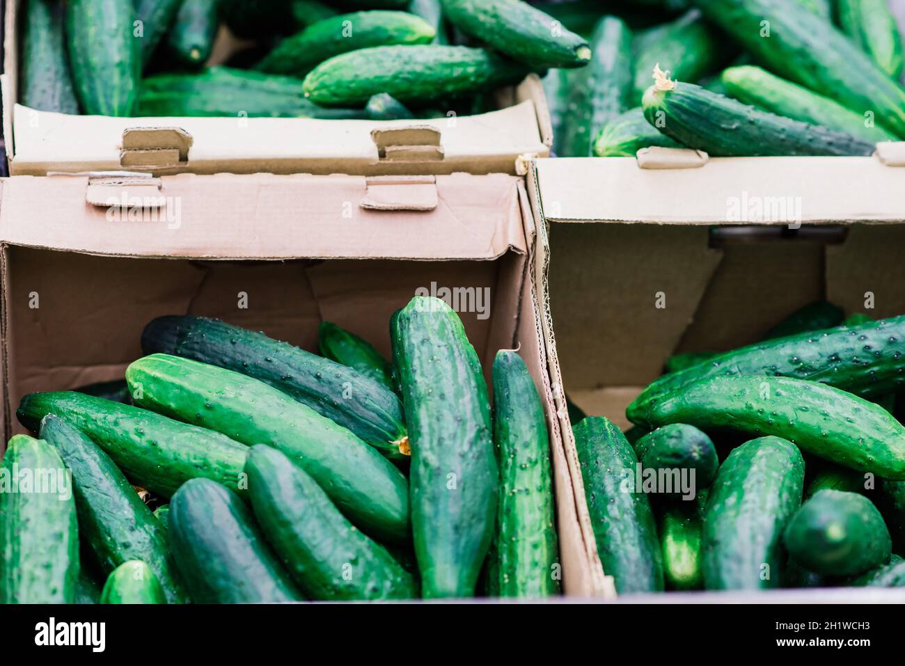 Bunch of cucumbers on boxes in a supermarket Stock Photo - Alamy