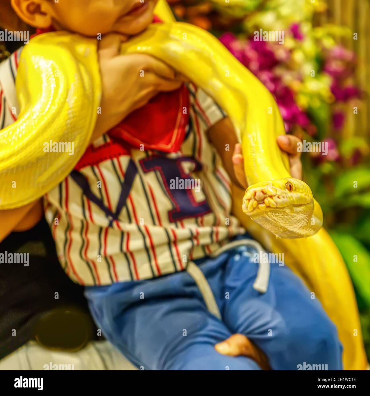 Albino boy hi-res stock photography and images - Alamy