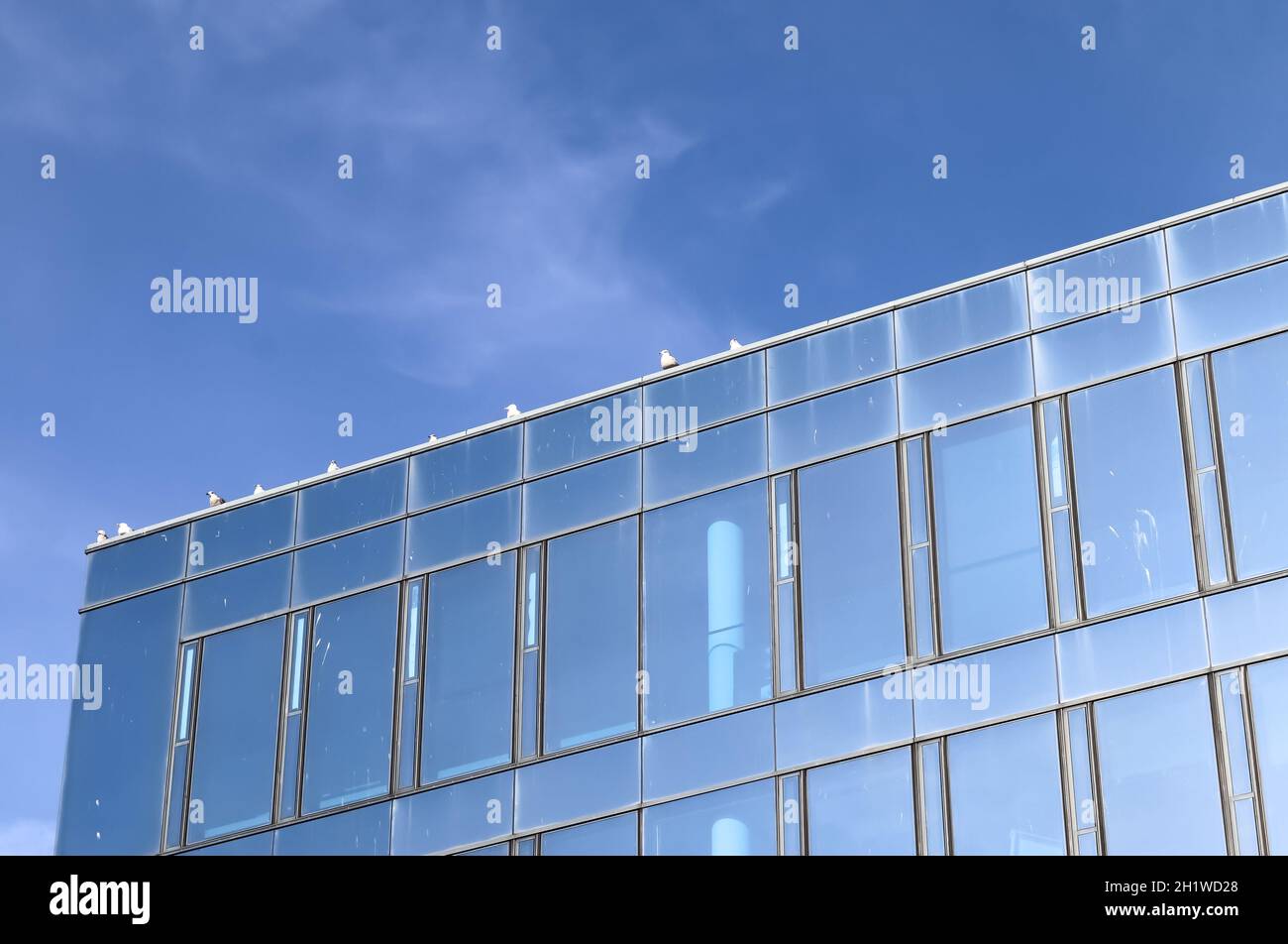 Downtown kiel hi-res stock photography and images - Alamy