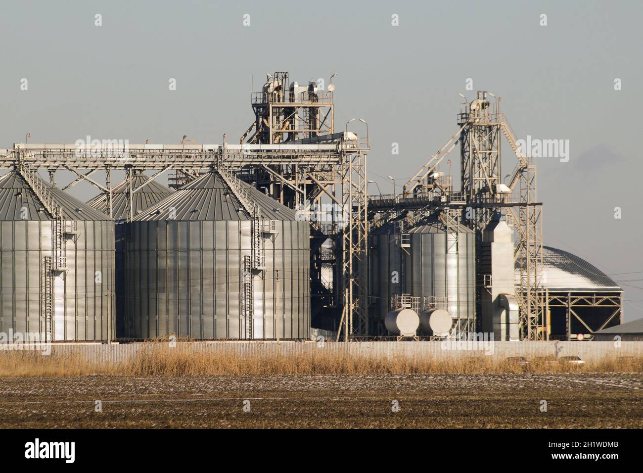 Plant for the drying and storage of grain. Rice plant in the middle of ...