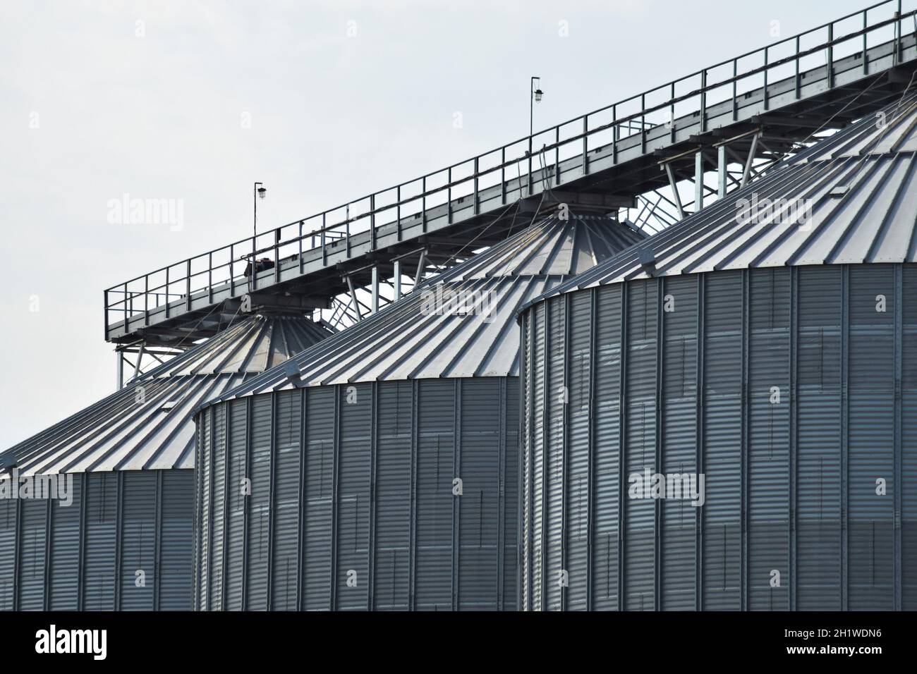 Plant for the drying and storage of grain. Rice plant in the middle of ...