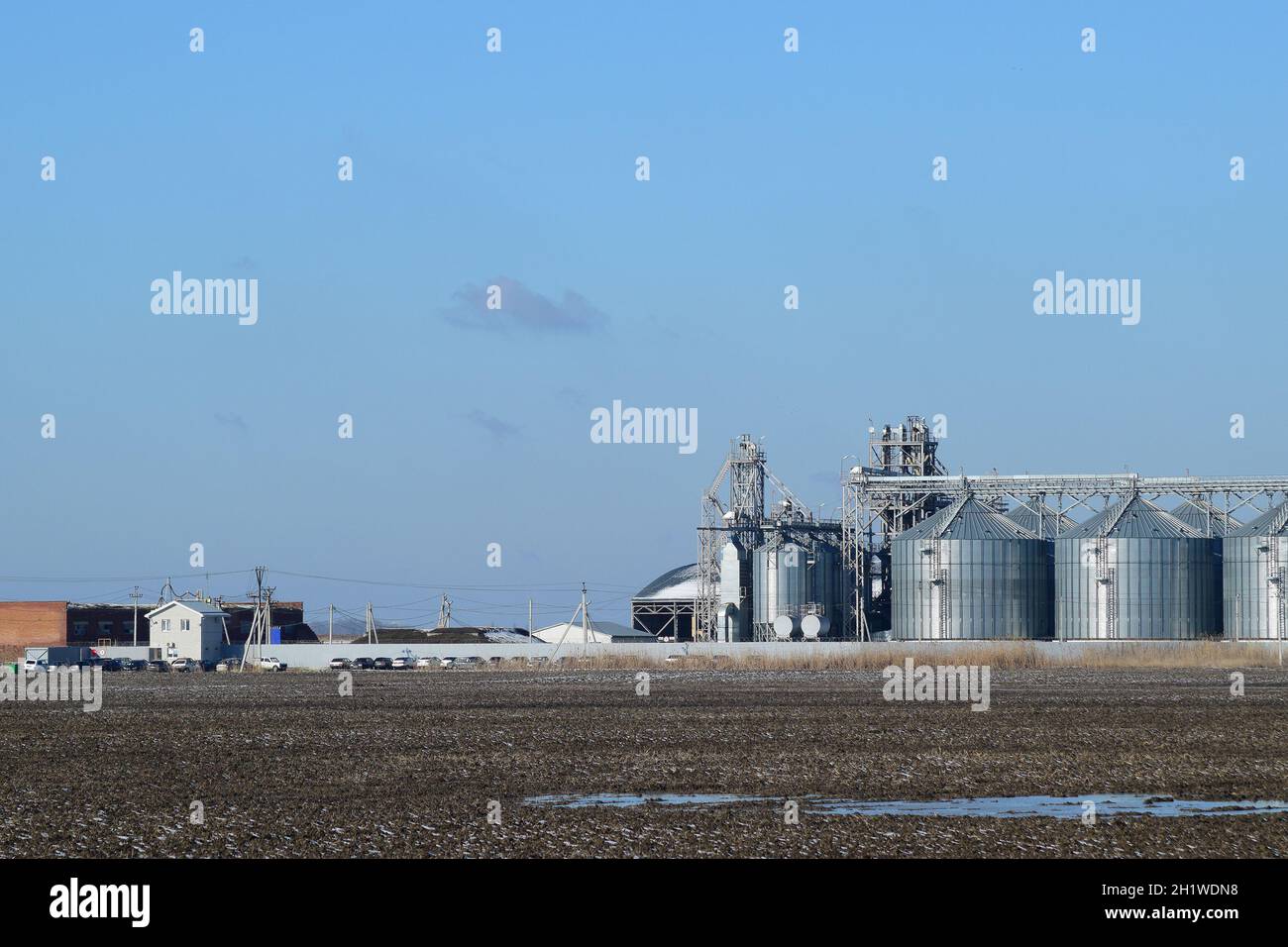 Plant for the drying and storage of grain. Rice plant in the middle of ...