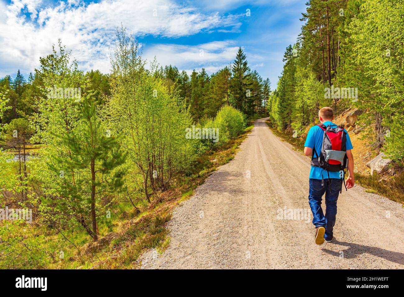 Lonely young hiker walks along hiking trail in landscape panorama ...