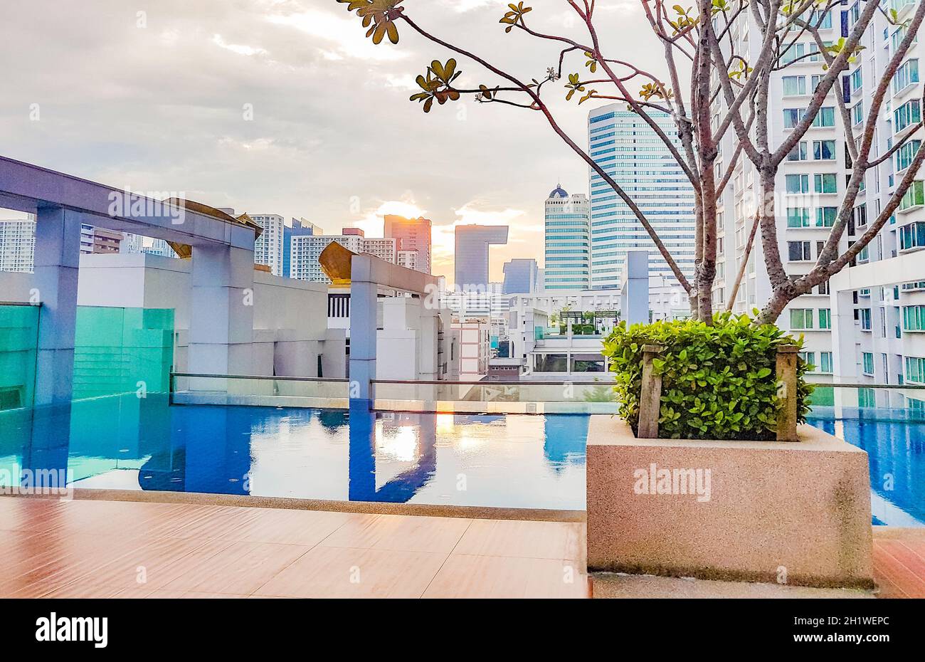 Panorama cityscape and Skyscraper view from the swimming infinity pool ...