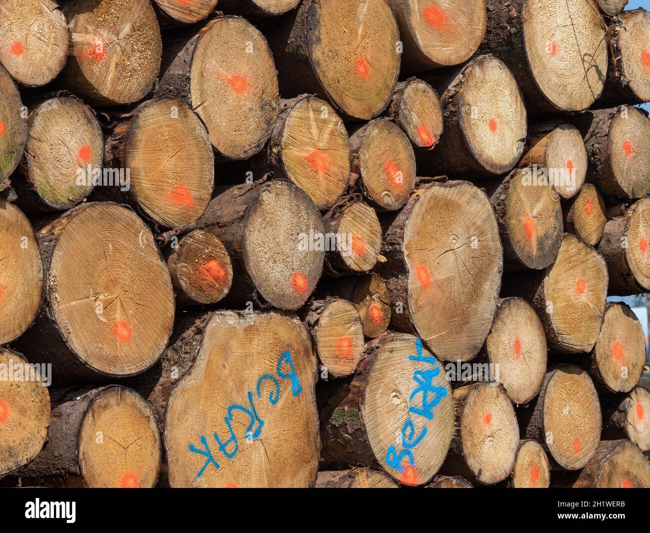 Faces cut hi-res stock photography and images - Alamy