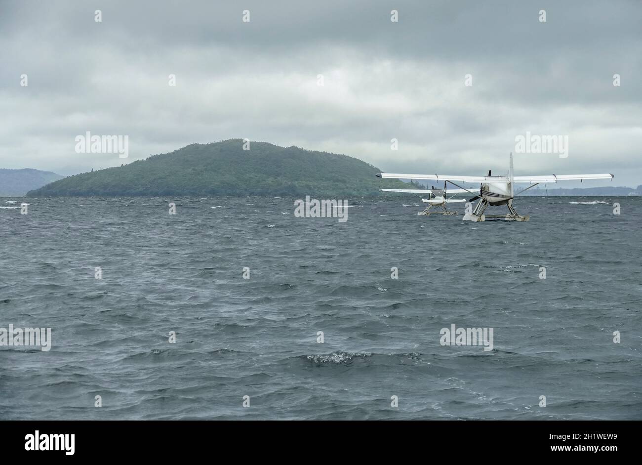 Two seaplanes on water surface seen in New Zealand Stock Photo - Alamy