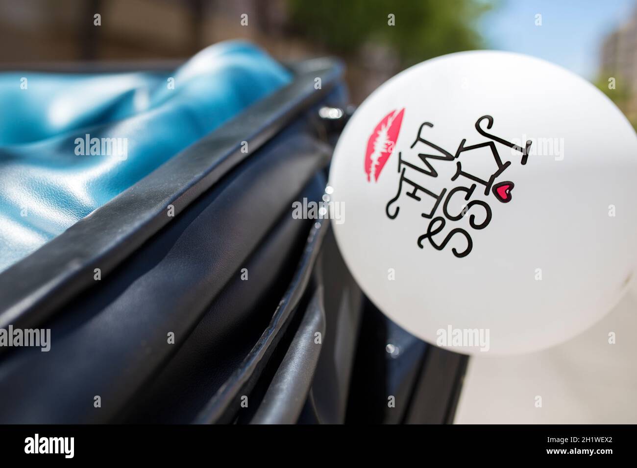 Soft balloon decorates love celebrations. Horse drawn wedding carriage ...