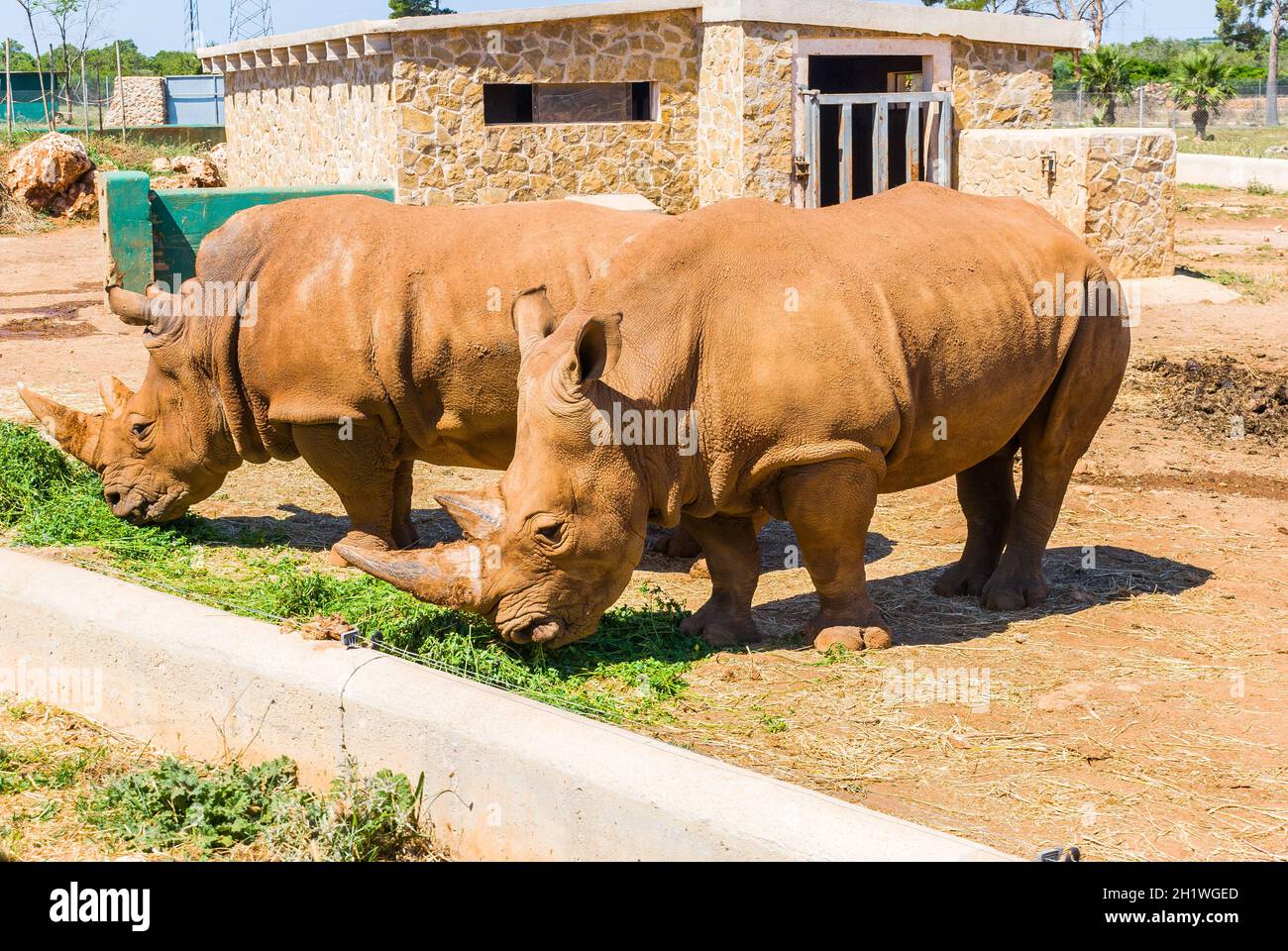 Safari zoo majorca hi-res stock photography and images - Alamy