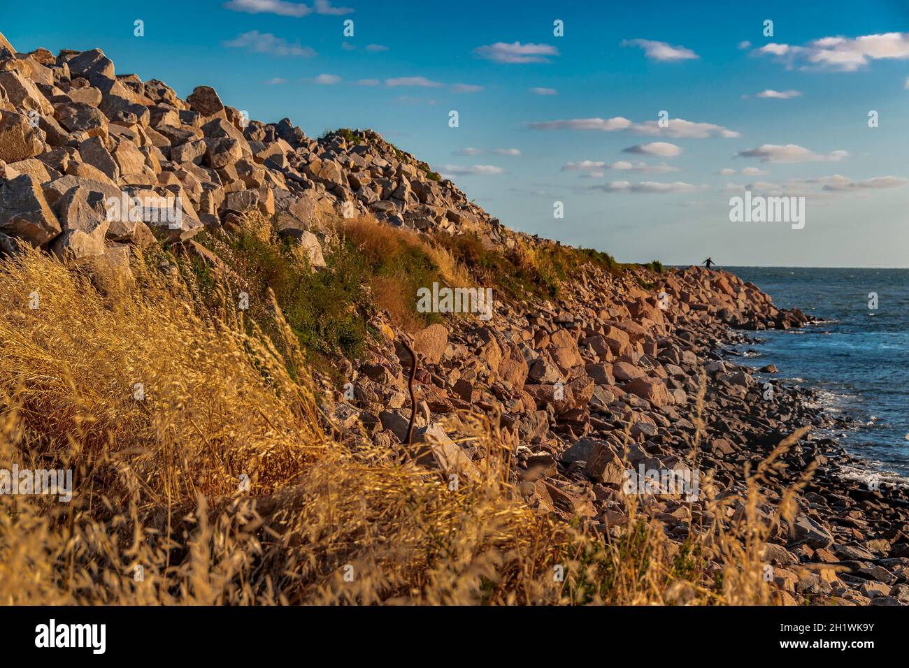 Rocky coastal landscape scene at montevideo city, uruguay Stock Photo ...