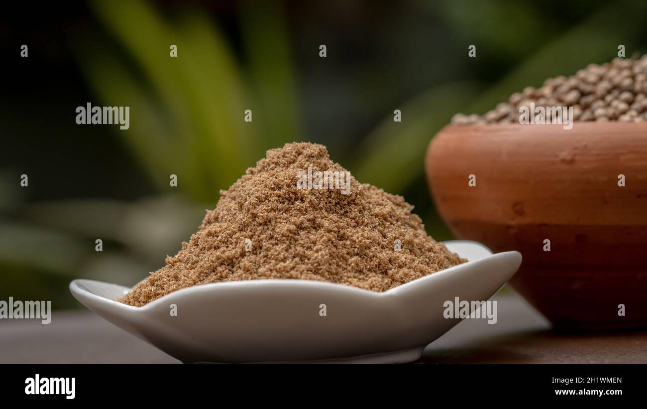 Coriander seeds in a clay bawl, fresh coriander and powdered coriander ...
