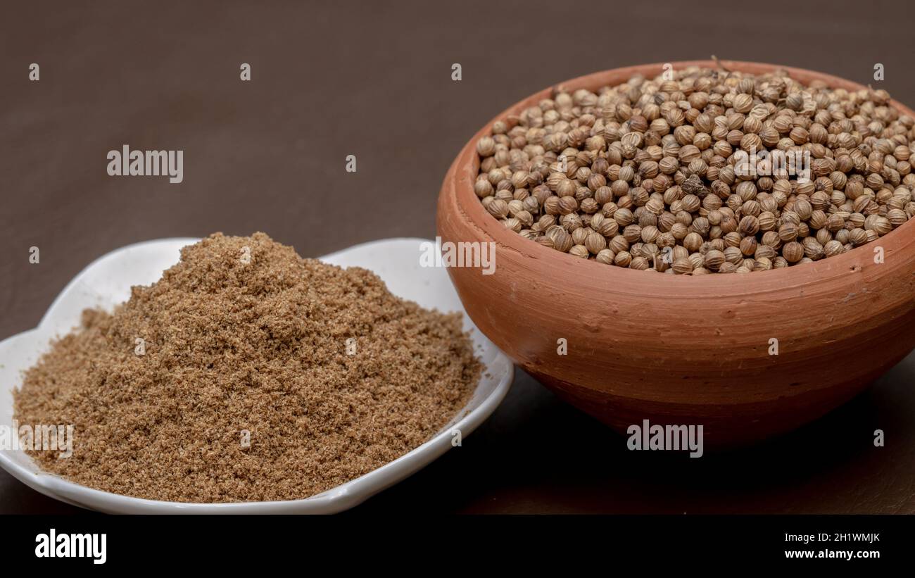 Coriander seeds in a clay bawl, fresh coriander and powdered coriander ...