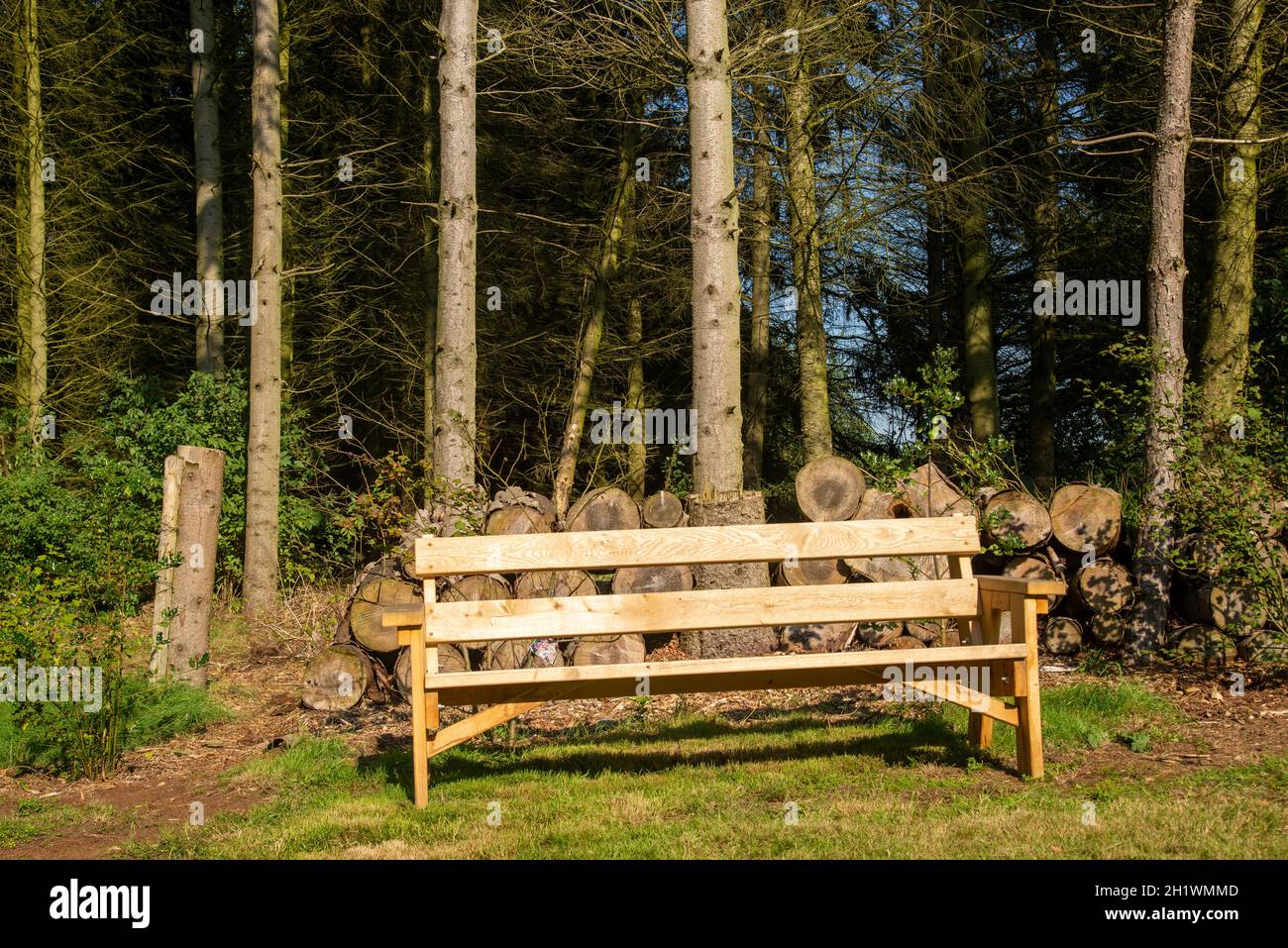 Oak garden bench hi-res stock photography and images - Alamy