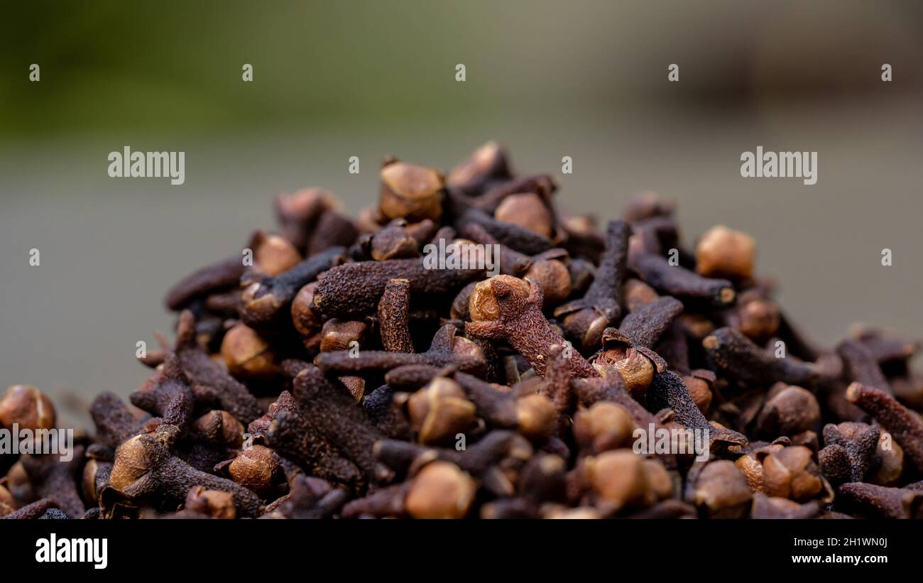 Cloves spice. Some dried cloves, macro close-up Isolated on white ...
