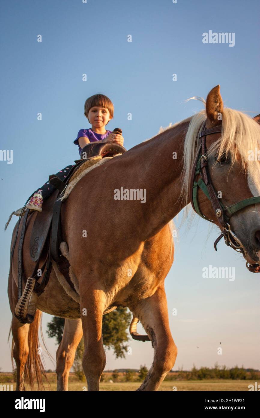 Kid pony ride boy portrait hi-res stock photography and images - Alamy