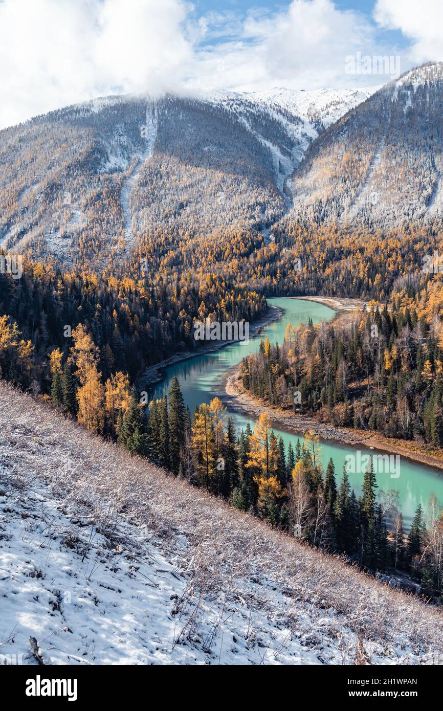 Autumn landscape of the river and forest in Kanas, Xinjiang province ...