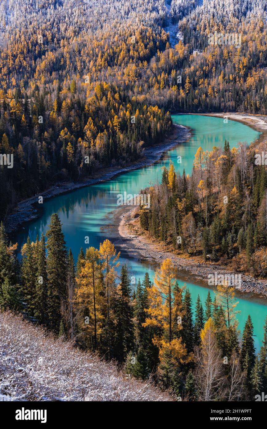 Autumn landscape of the river and forest in Kanas, Xinjiang province ...