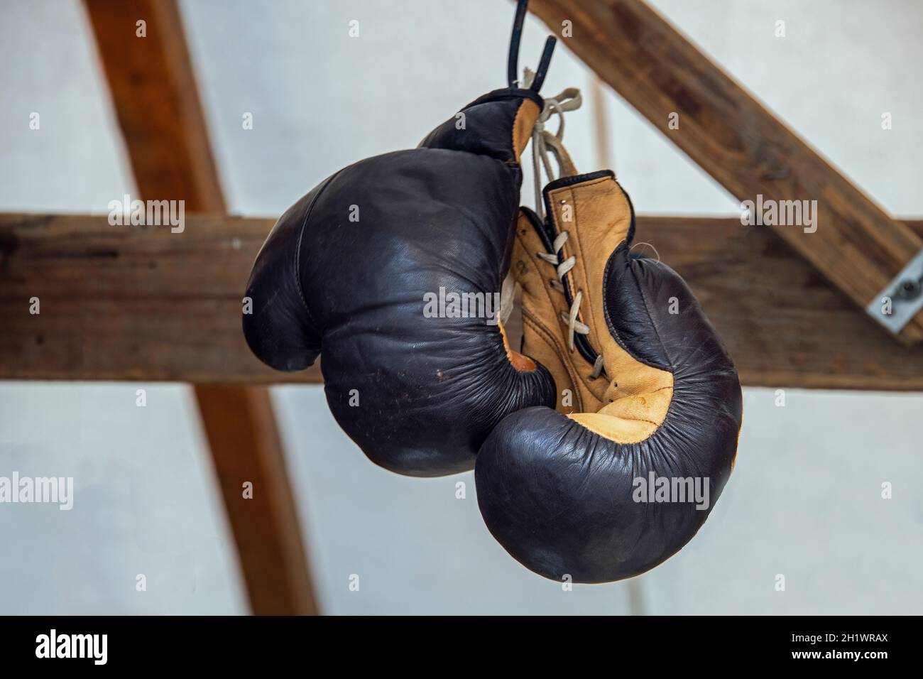Olympic boxing gloves hi-res stock photography and images - Alamy