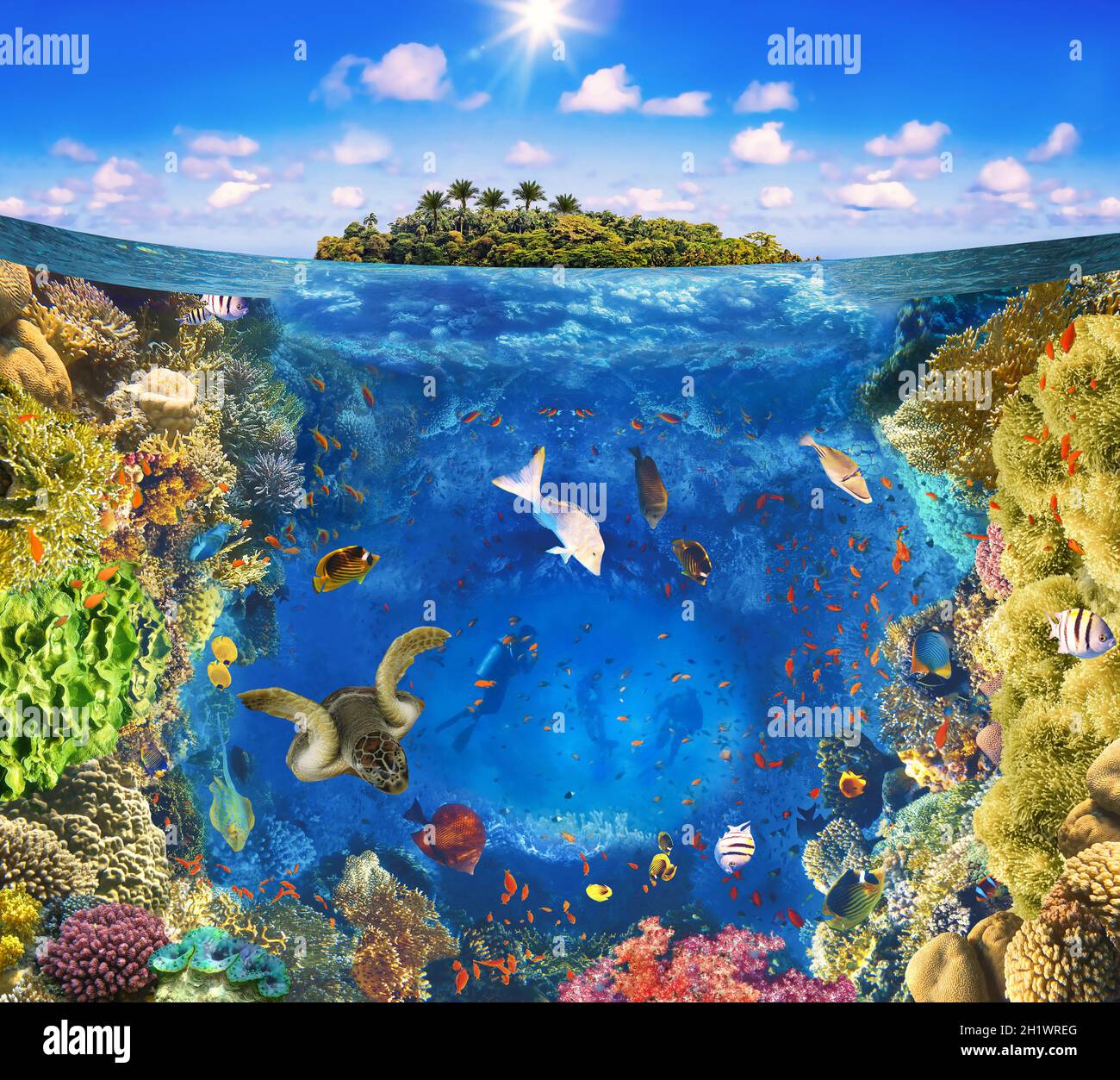 Group of scuba divers exploring coral reef. Underwater sports and ...