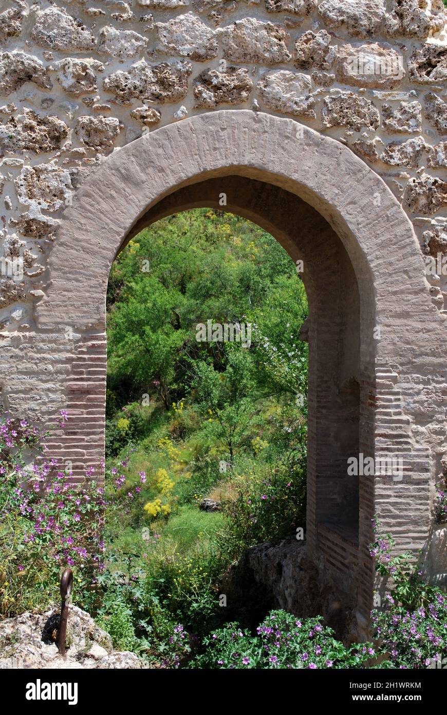 Stone arch in the gorge with pretty Spring flowers in the foreground ...