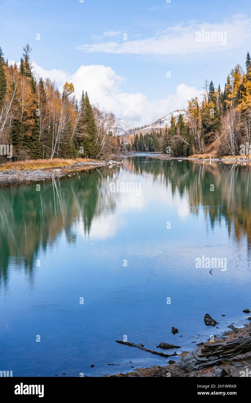 Autumn landscape of the river and forest in Kanas, Xinjiang province ...