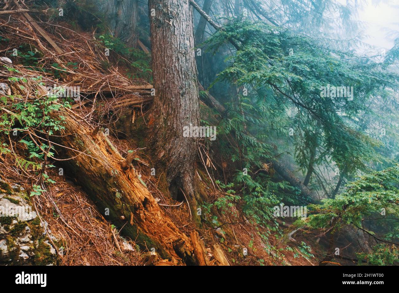 Colours of earth Stock Photo - Alamy