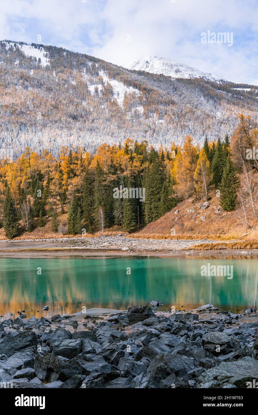 Autumn landscape of the river and forest in Kanas, Xinjiang province ...