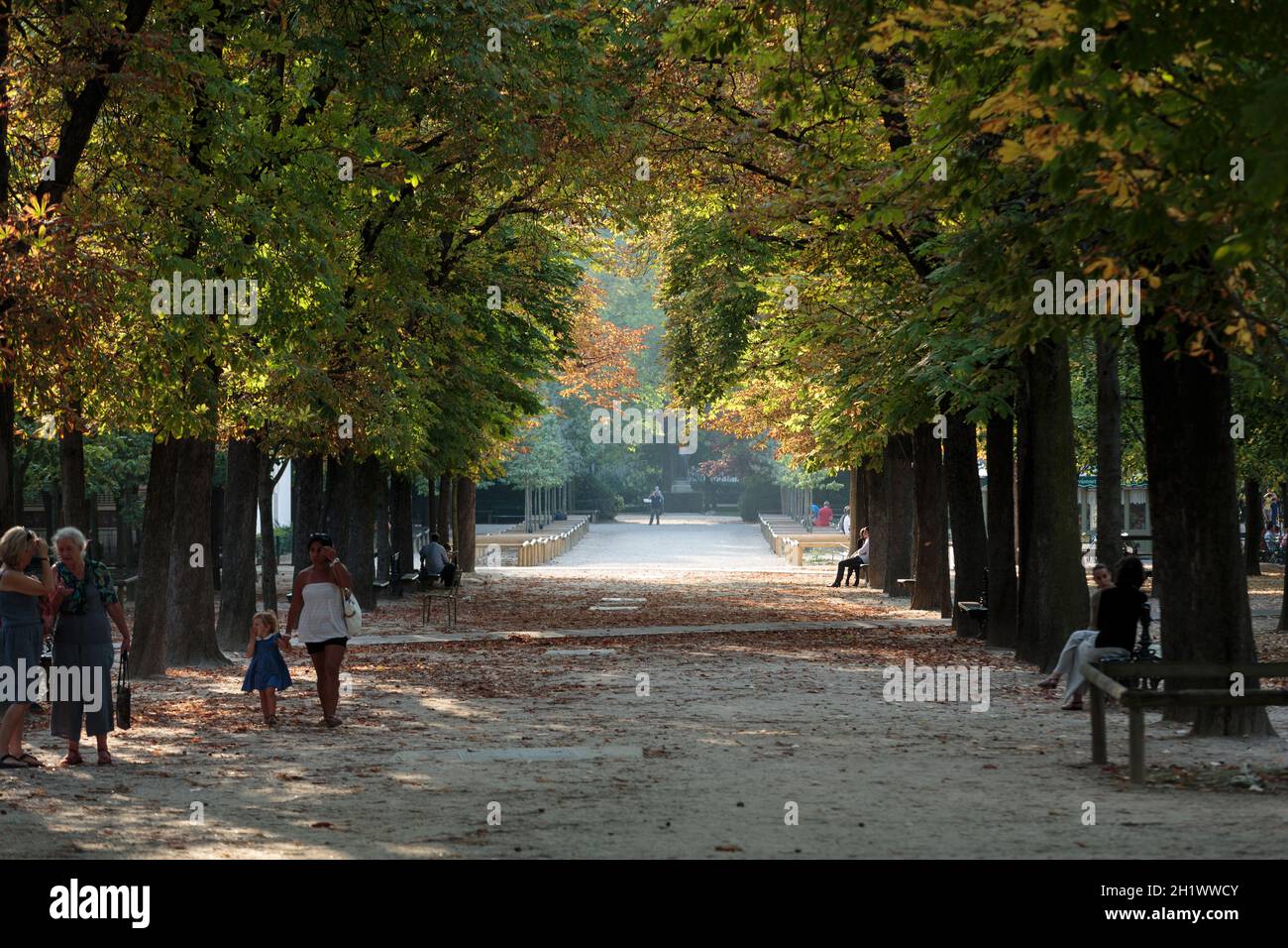 Chestnut tree in paris france hi-res stock photography and images - Alamy