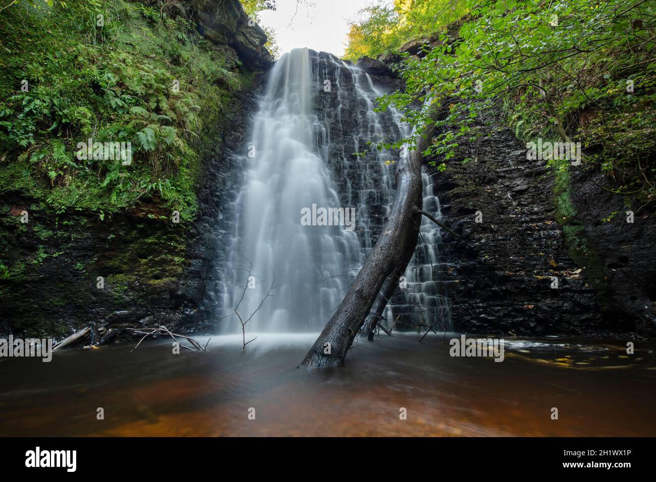 Falling Foss Waterfall in the North York Moors National Park Stock ...