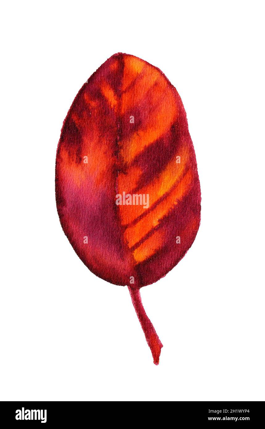 Sepia ink painting Cut Out Stock Images & Pictures - Alamy